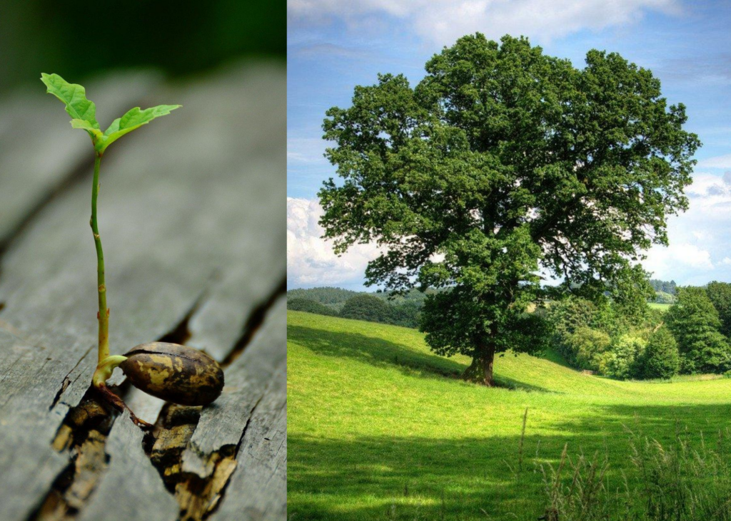 Early vs. Late Stage Investment Opportunities Early vs. Late Stage Investment Opportunities